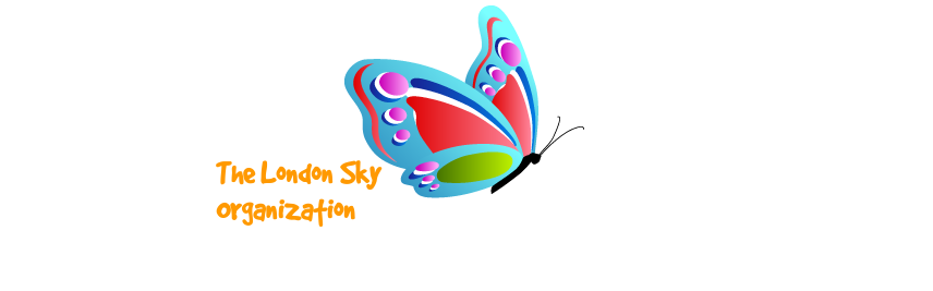 London Sky Organization. The London Sky Organization is a… | by Mansoor ...