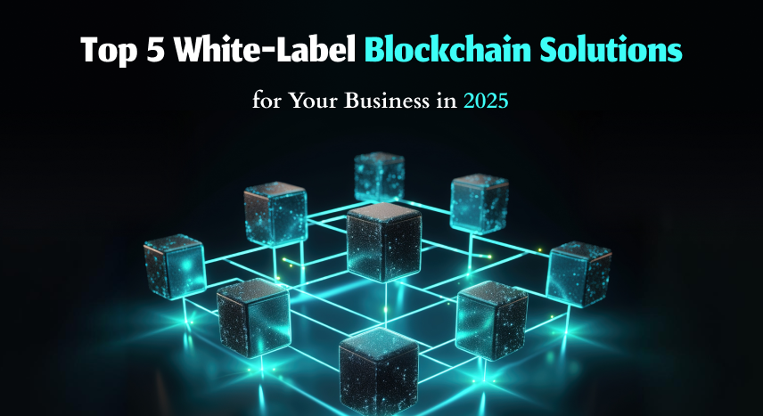 White Label Blockchain Solutions - 2026's Top Picks | Coinmonks