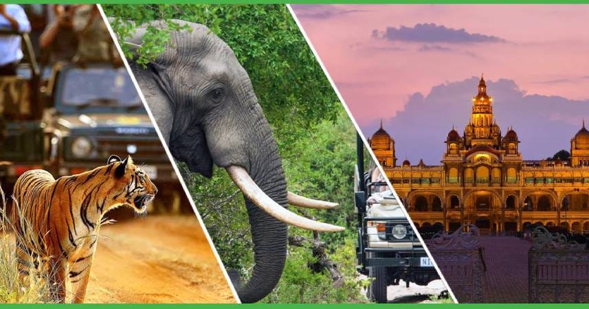 Tailor-made Tour Packages in Mysore for an Unforgettable Experience ...