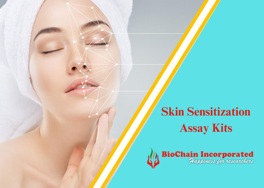 Skin Sensitization Assay Kits. In the dynamic and ever-evolving field ...