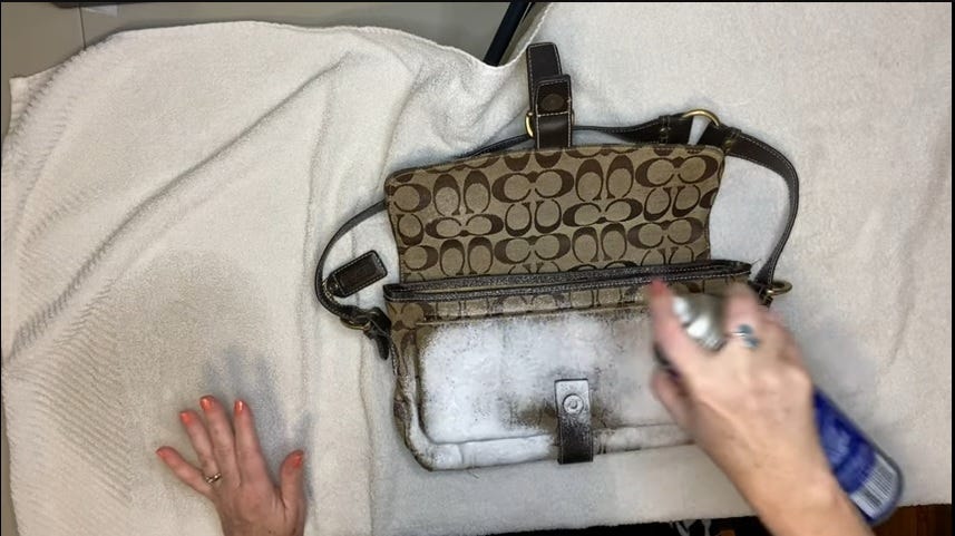 Coach Purse Rescue Mission: Keeping Your Favorite Bag Sparkling Clean ...