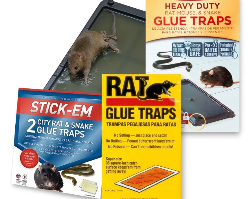 Bait Cages - Baitcage Info - Medium