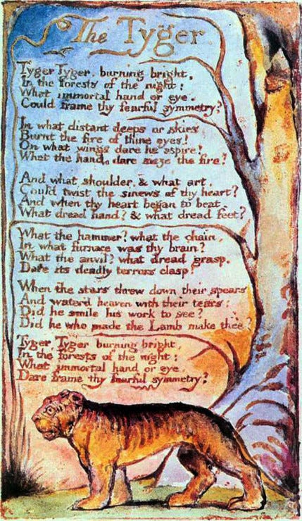 William Blake The Tyger And The Lamb "The Tyger" By William