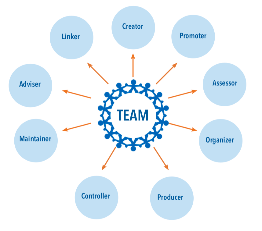 What are the Team Members? Essential Roles and Responsibilities | by ...