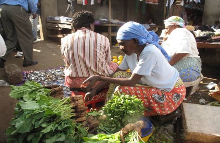 Exploring the Diverse Contributions of Informality to Transformation in ...