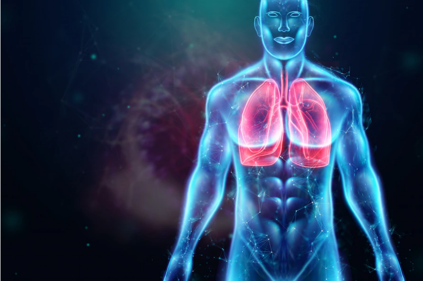 Lung Detoxification: Natural Ways To Clean Lungs! | by ToneOp | Medium