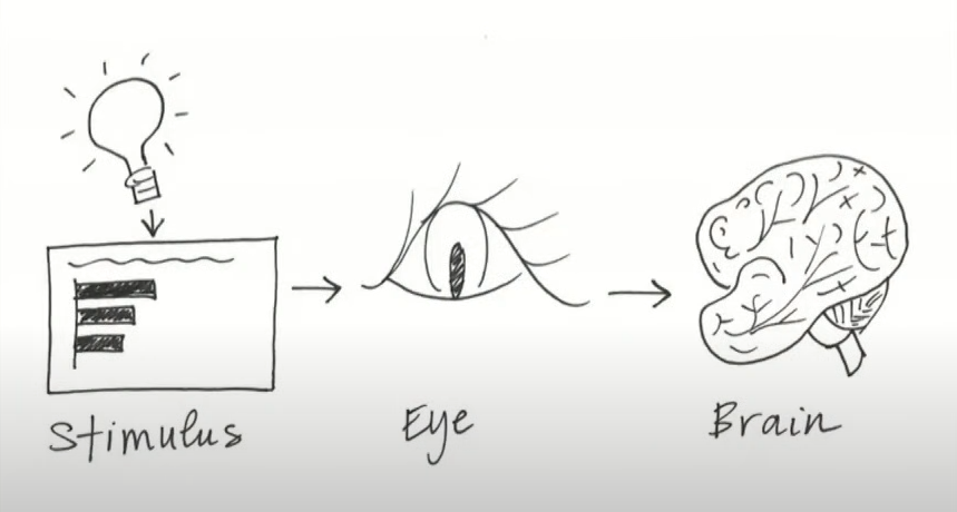 Revolutionize Your Data Storytelling: Insights from Cole Nussbaumer ...
