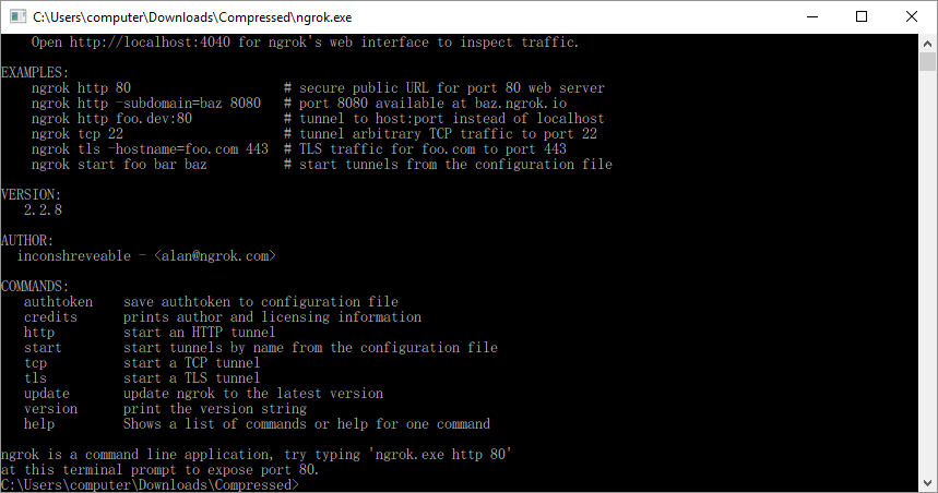 ทำให้ Localhost ของเรา online ได้ด้วย ngrok [Tools] | by Sawai Chungsri | Medium