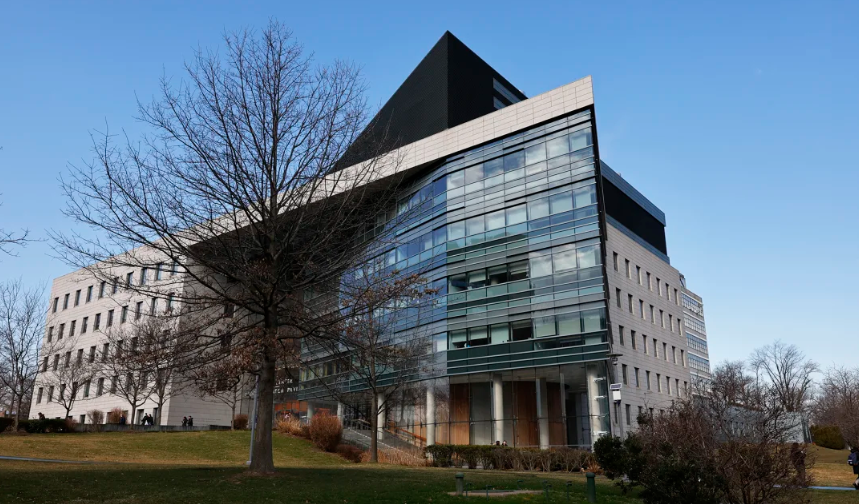 This school is now offering free tuition(Quick Read) | by ...