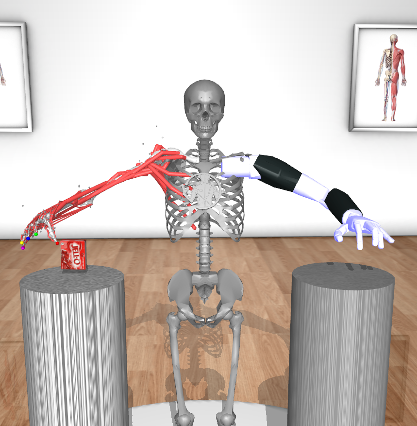 What is MyoChallenge ’24 and Why You Should Participate in it? | by MyoSuite Team | Medium