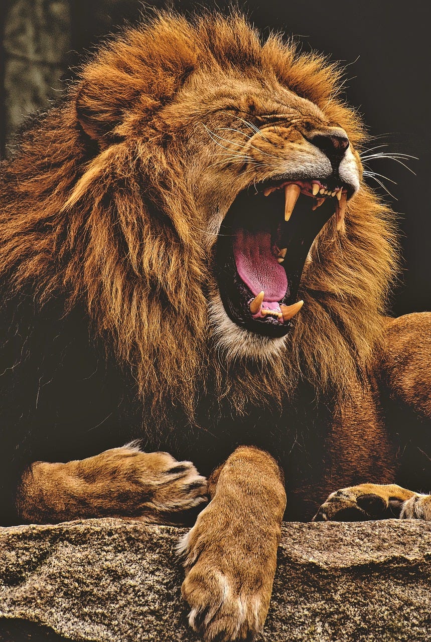How to Use Anger to Fuel Your Fire | by Stud Muffinette | Practice in ...