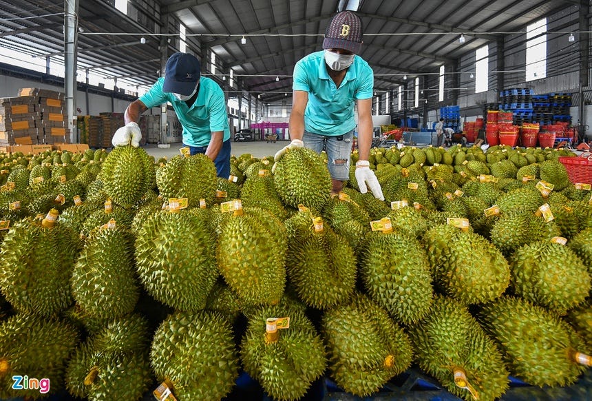 Southeast Asia Durian Paradises. Locations where you find the King of ...