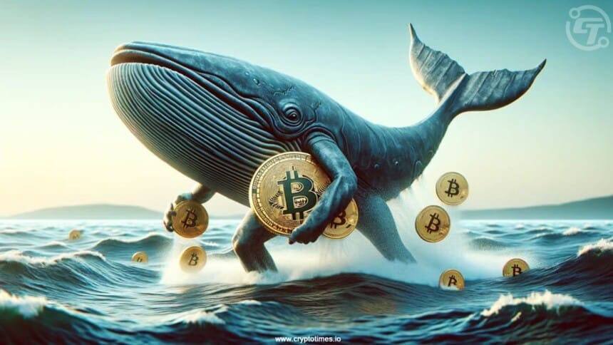 OG Bitcoin Whale Moves 2,000 BTC Worth $178M to Coinbase | by Crypto Point | Nov, 2024 | Medium
