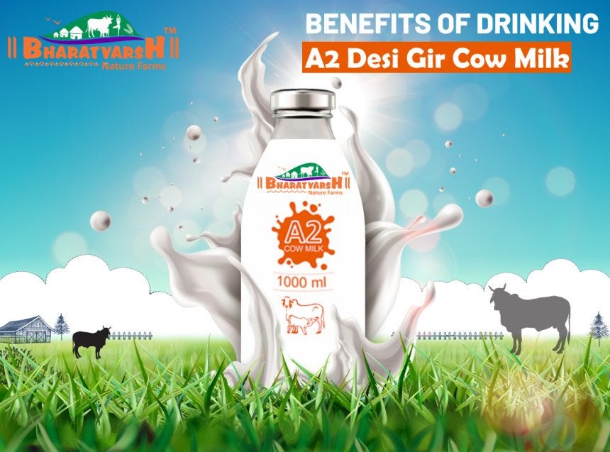 Health Benefits of A2 Milk : Benefits of Drinking Gir Cow Milk - Bharat Varsh - Medium