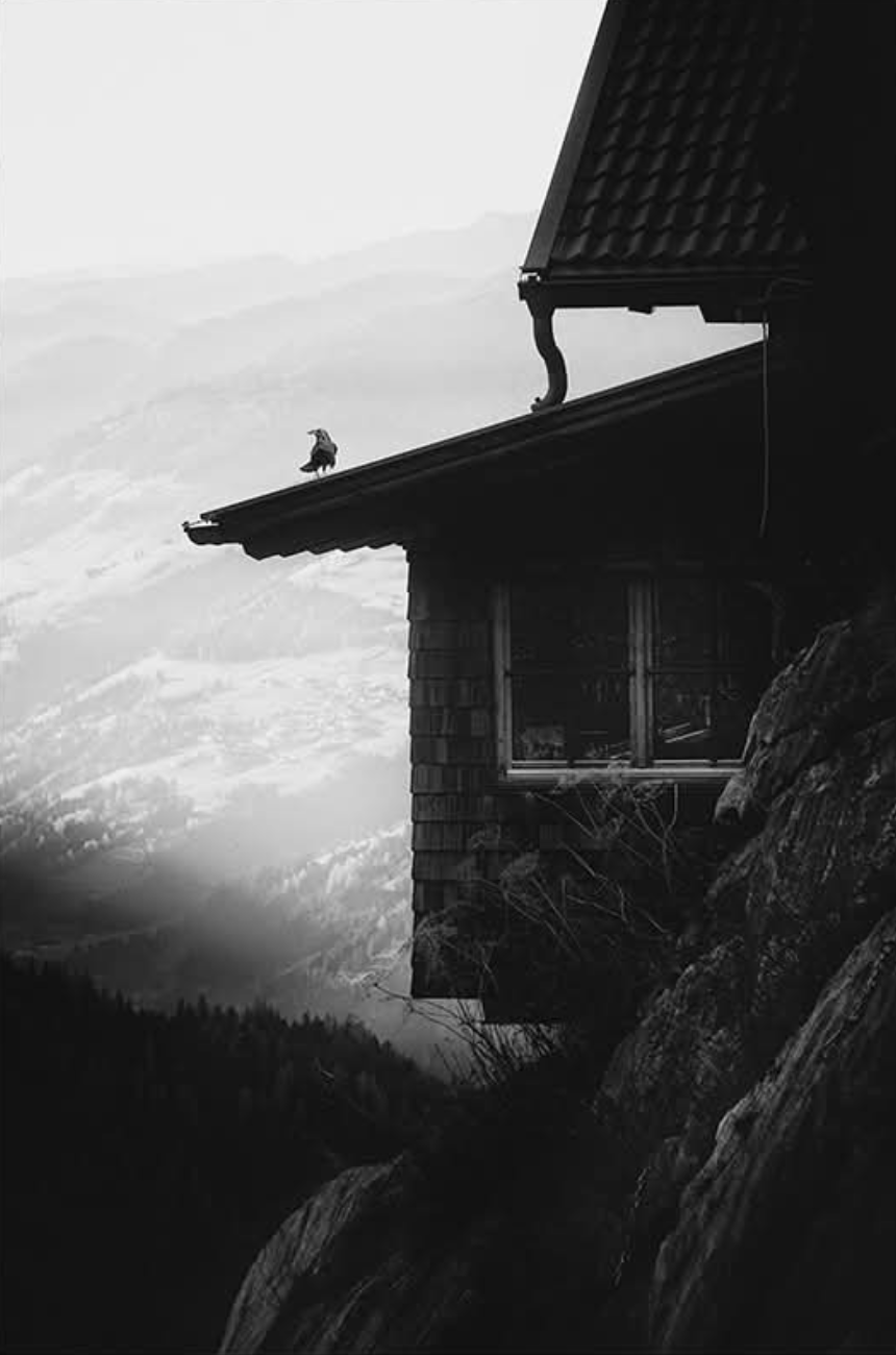 black crow vigilance - Maurice Kaehler - Medium