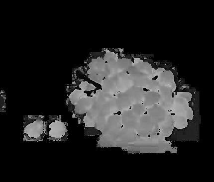 How To Draw Bounding Box In Opencv Python