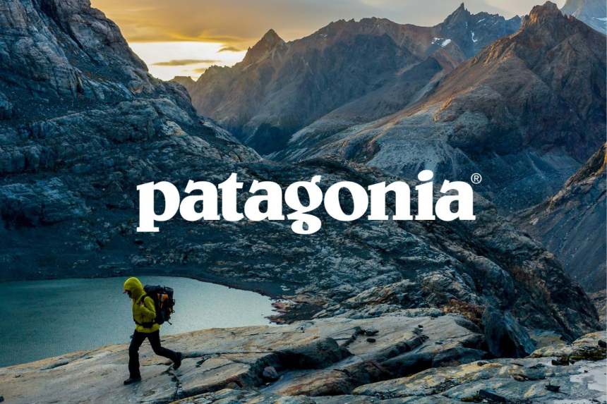The Ad That Told Us Not to Buy: How Patagonia Turned Rebellion Into a ...