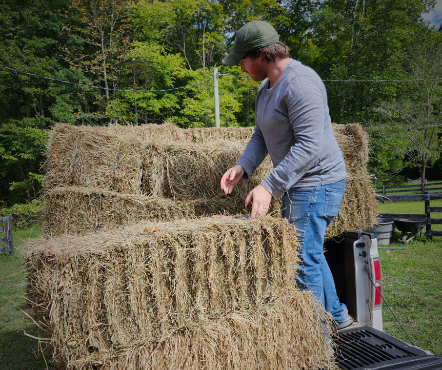 Death Beyond the Bales. Surely, it was coming to get me… | by Elle M ...