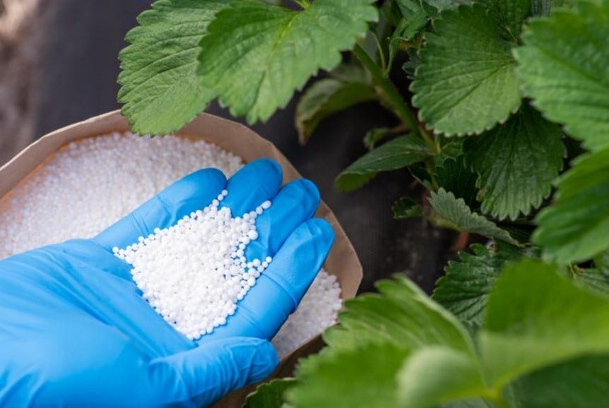 How Calcium Ammonium Nitrate Fuels Crops Health? | by AAA Holding Group ...