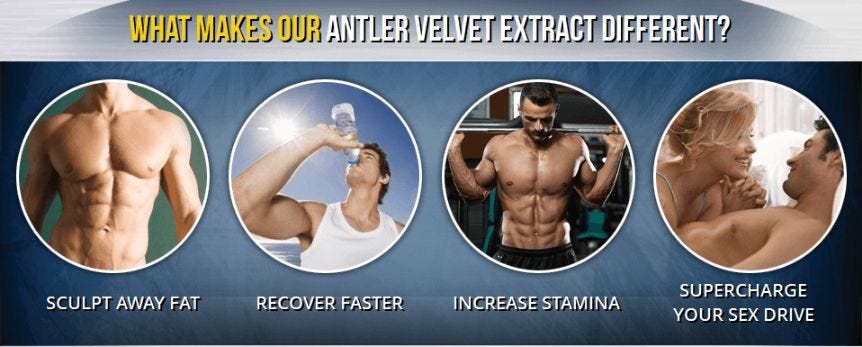 Max Antler Pro how many exercises you have left | by remuna demo | Medium