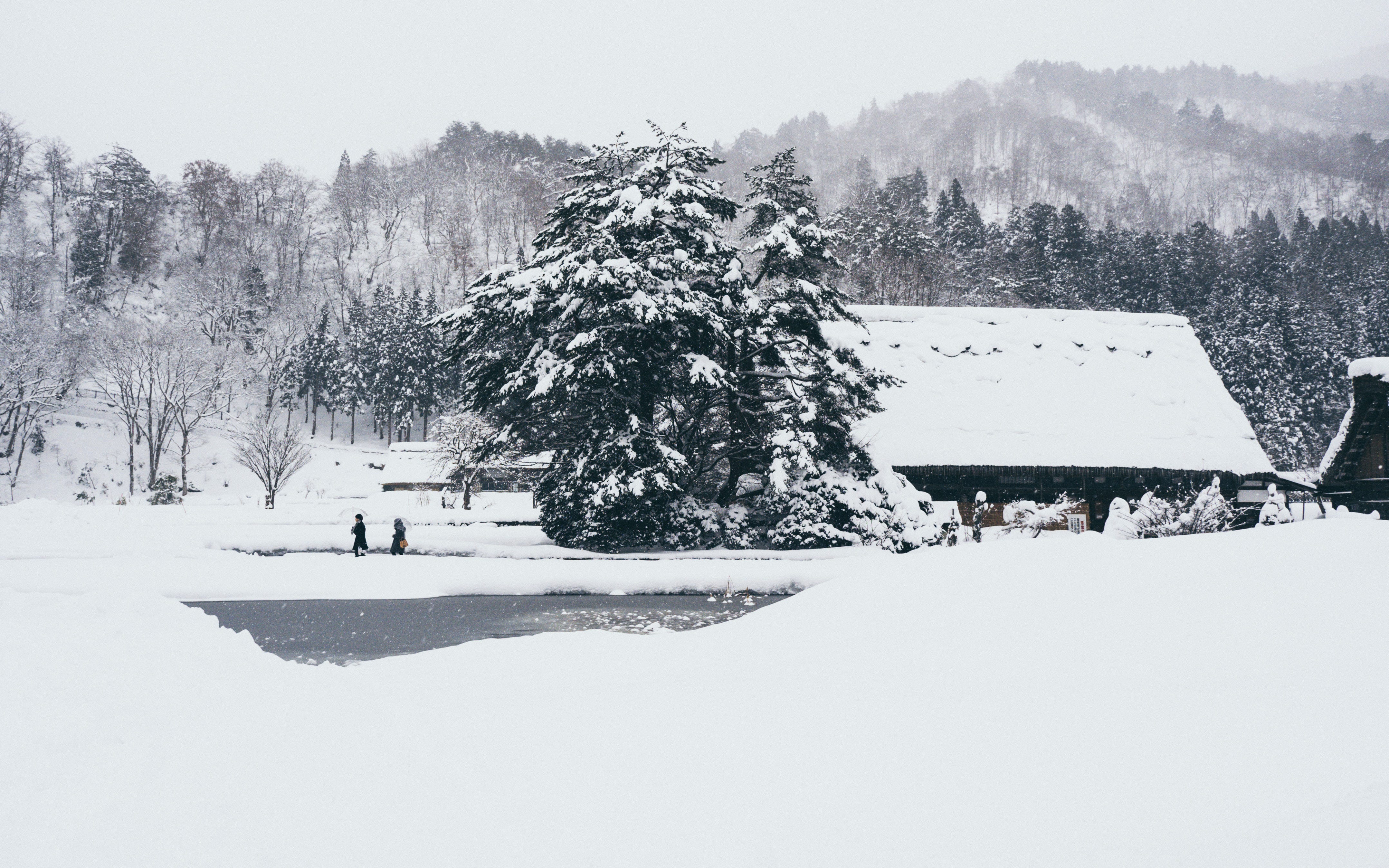 Japanese Alps Snow