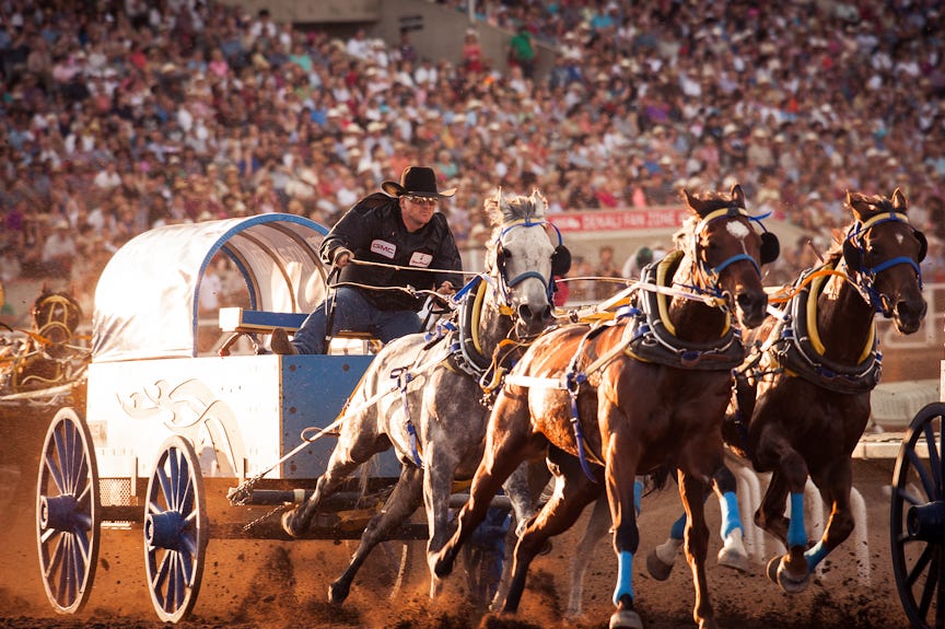 Yee-bit-dah: How the Calgary Stampede Chuckwagon canvas auction ...