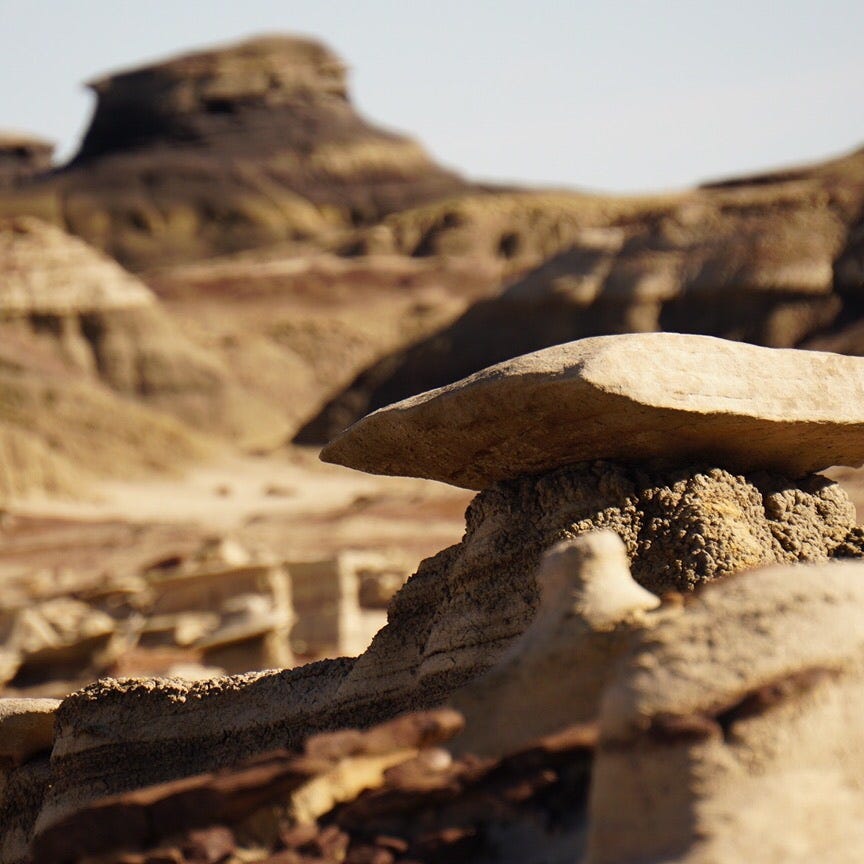 re: Visual Metaphor. Such great images of curiosity in… | by CJ ...