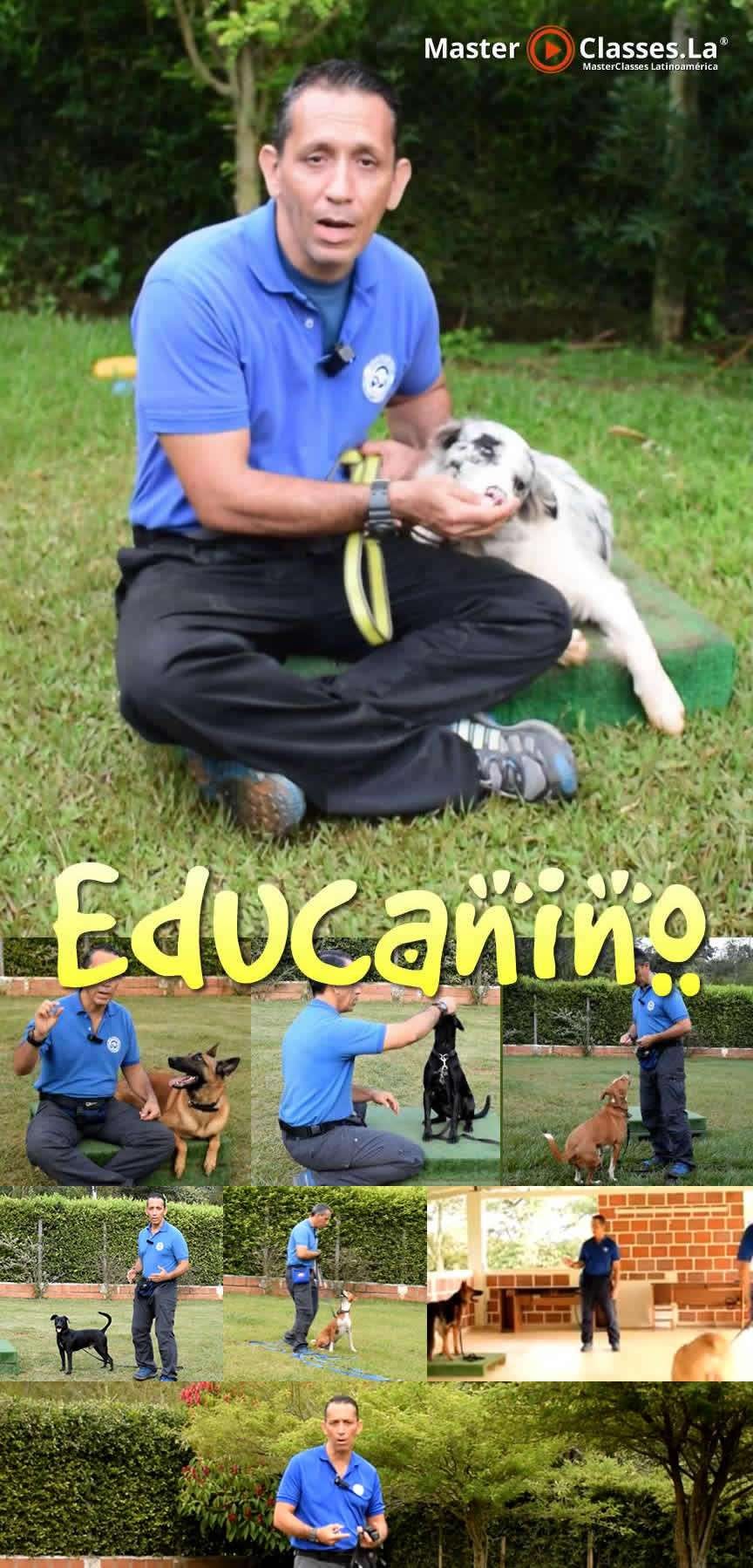 Programa Educanino Funciona?. PROGRAMA EDUCANINO DE ÁLVARIO OSORIO | by daniel argolo | Medium