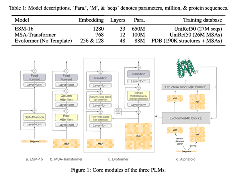 Using AlphaFold2 Evoformer for protein function prediction | by AI-Advance | Medium