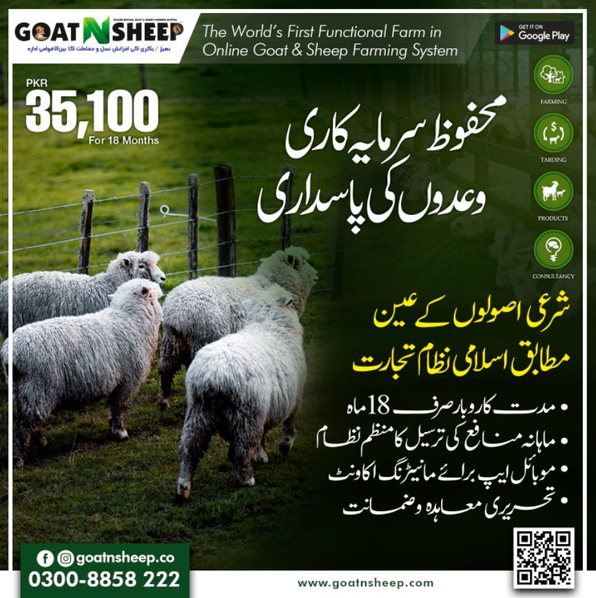 Goatnsheep A Real Project of Goat and Sheep farming system in Pakistan ...