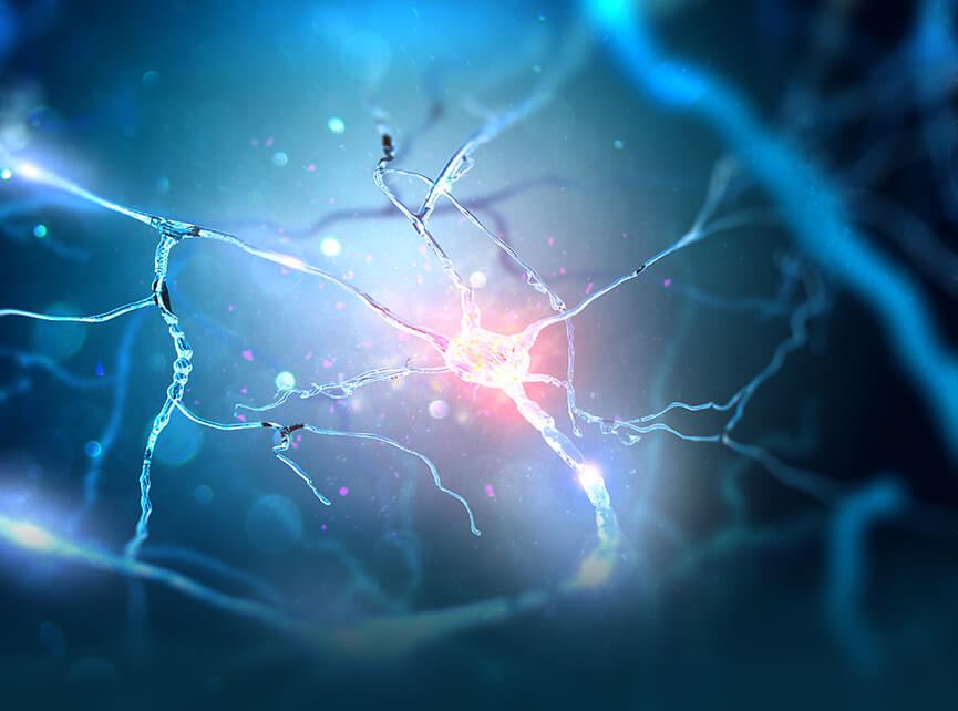 Can Simple Neuron Interactions Capture Complex Linguistic Phenomena ...