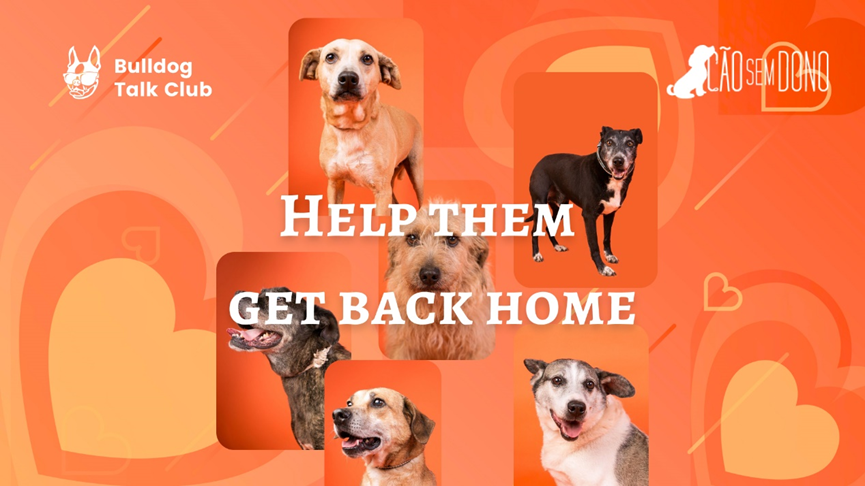 Bulldog stray dog rescue action officially launched | by Bulldog Club ...