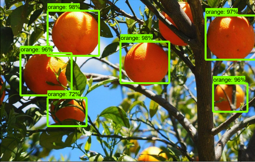 Custom Data TensorFlow Object detection API | by Hamza Mustafa | Medium