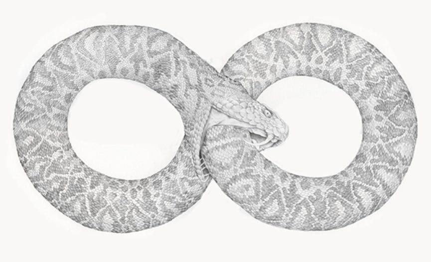 for loops in 4 steps. How to create a for loop in javascript… | by Zach ...