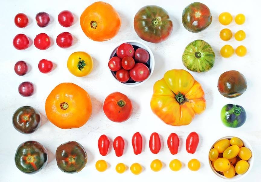The Importance of Food Diversity. | by Marley Hutchinson | Avalow | Medium