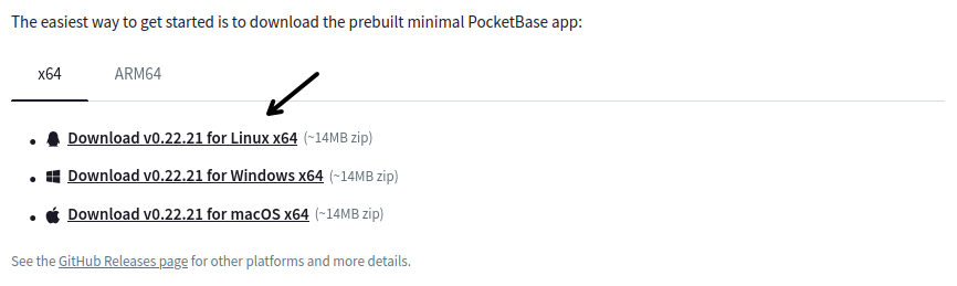 PocketBase: Ready-to-Use Backend for your Frontend Project. | by Théo T | Medium