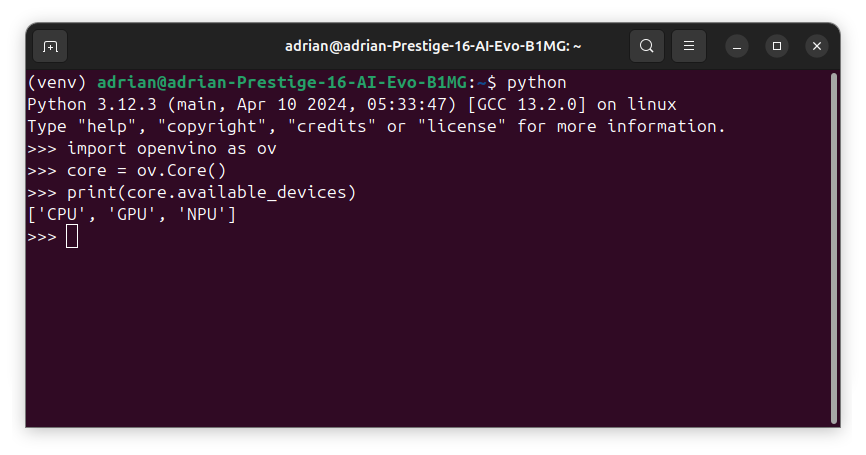 How To Run Openvino™ On A Linux Ai Pc By Adrian Boguszewski Openvino Toolkit Medium