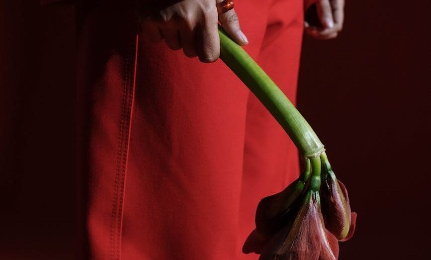 The Truth About Belladonna and Its Effects on the Body | by Amanda Lu ...