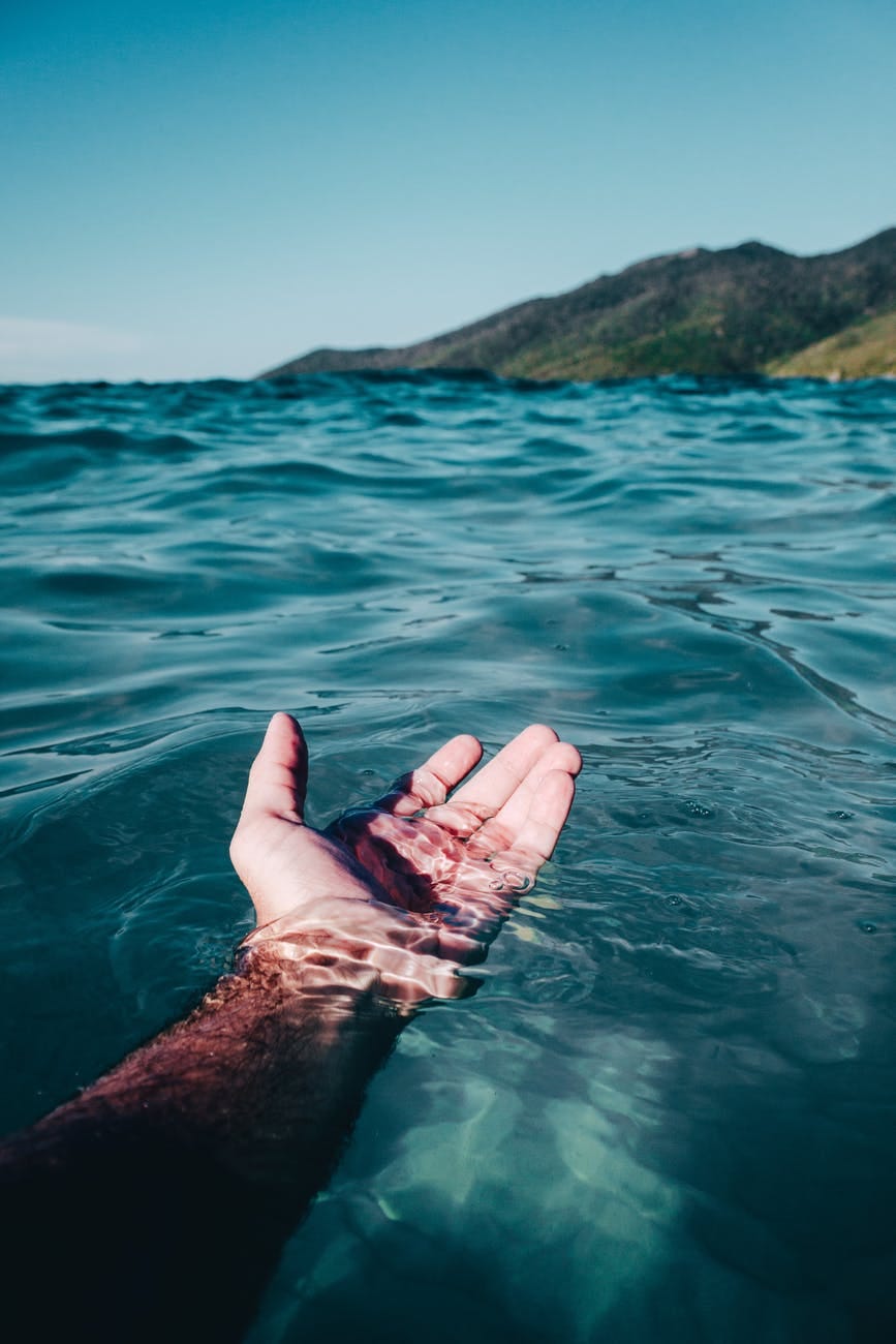 What Do You Crave?. Photo by Victor Freitas on Pexels.com | by Alicia ...