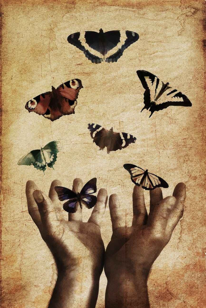 Letting Go, When You Have Let Someone Down | by Aman | The Startup | Medium