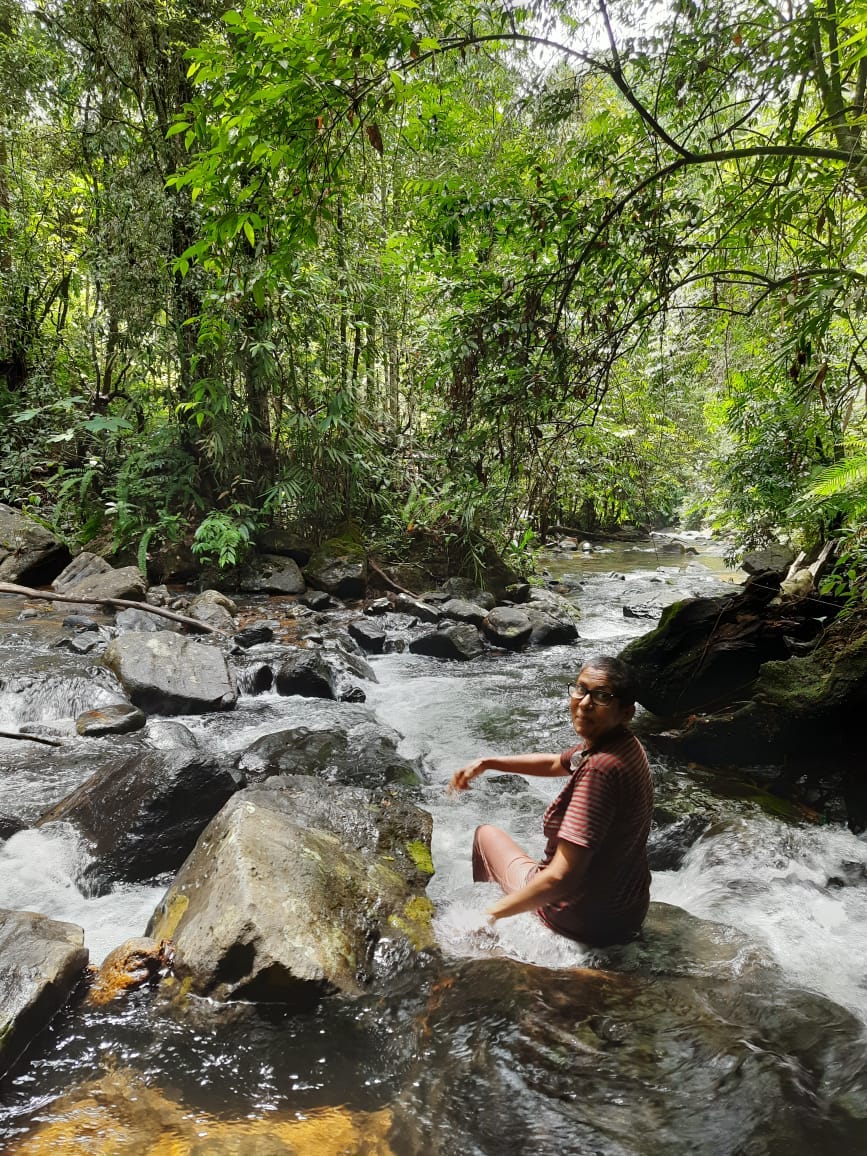 A journey from city life to living in a rainforest | by livinginaforest ...