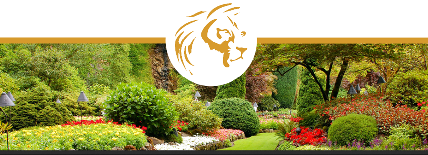 Learn landscape construction from the best in the industry | by ...