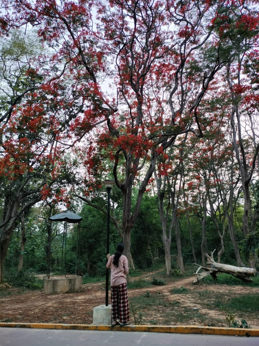 Discover the power of PATIENCE; why it’s more than just waiting: | by Prashasti Mathur | Jun ...