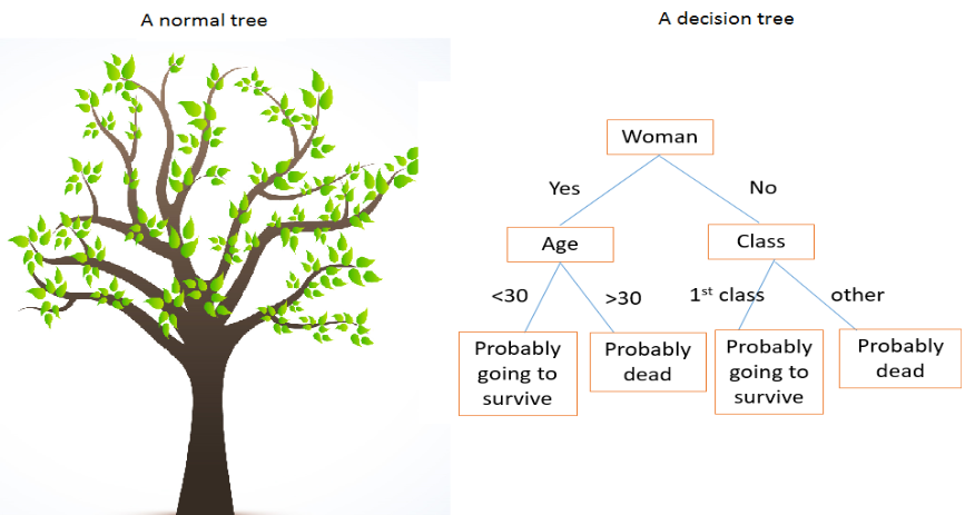 An Overview of Decision Trees. What is a Decision Tree? | by SOORYADAS ...