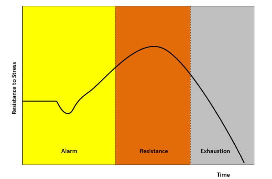 Academic stress among high school students | by Aruzhansabit | Medium