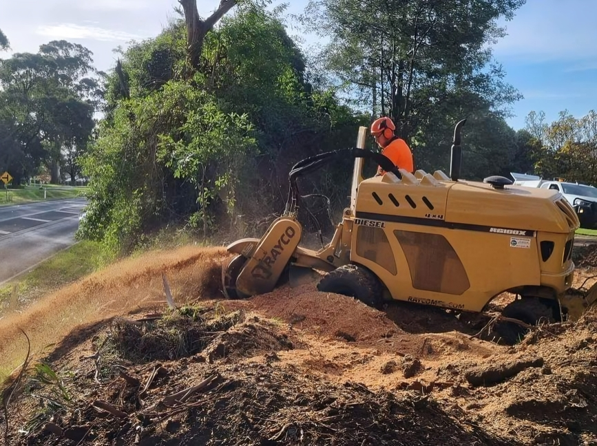 Gippy Tree Services: Eco-Friendly Land Clearing with Forestry Mulching ...