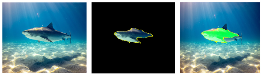How to Explain Image Classifiers Using LIME | by Aditya Bhattacharya | Towards Data Science