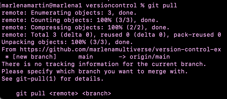 Day 5: Creating your initial commit on Github | by Marlena Martin | Medium