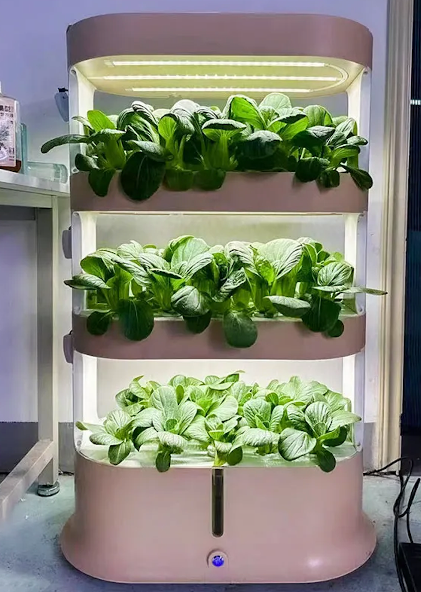 Vegetable Hydroponic Gardening System Complete Indoor Hydroponic Grow Vegetable Hydroponic Gardening System Complete Indoor Hydroponic Grow