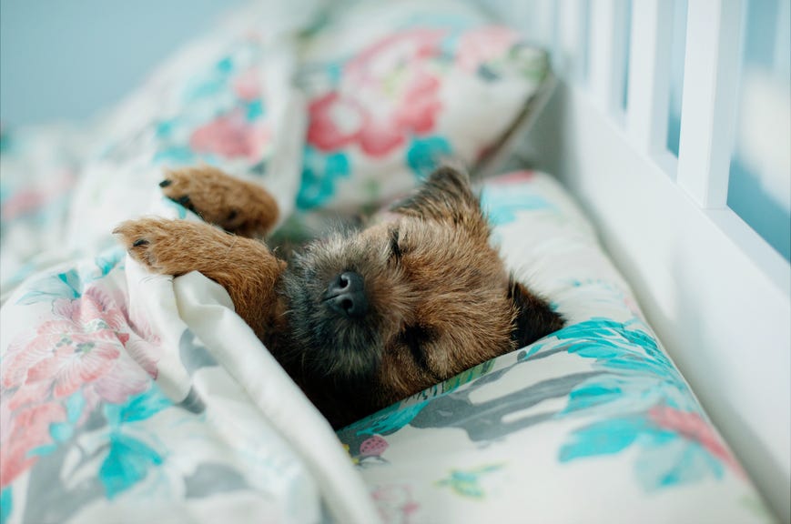 5 Actionable Ways to Become Successful Today That Don’t Involve Getting ...